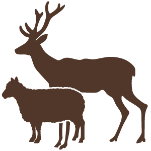 Grandma Mae's Air Dried RawTernative Lamb, Organs and Venison Recipe ...